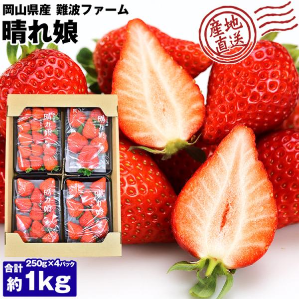＜商品説明＞〇岡山県・難波ファームから産地直送！晴れ娘ゆめのかにほれ込み、脱サラ！元商社マンの難波さんが手がける、国内最高クラスのブランドいちご『晴れ娘』を産地直送でお届けします。大粒で鮮やかな紅色が魅力のゆめのかは、果肉に程よい硬さがあり...