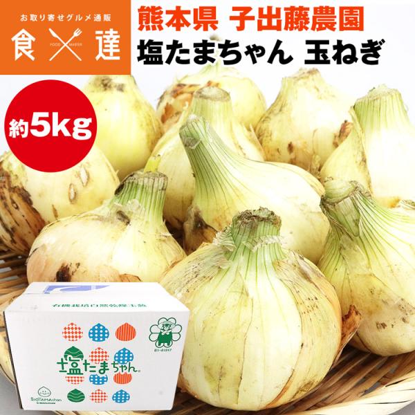 〇メディアでも話題の、熊本 子出藤農園 塩たまちゃん玉ねぎなのに、辛み・苦みが無い！甘くて美味しい！生でも美味しい！と話題の塩たまちゃん。ザ！鉄腕！DASH！や、満点☆青空レストランをはじめ、様々なメディアでも紹介されている、絶品玉ねぎです...