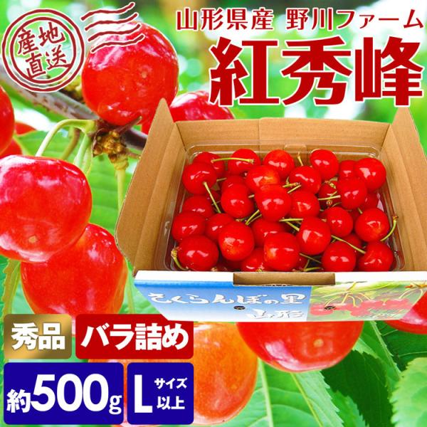 甘みが強く、佐藤錦よりひとまわりほど大きく紅色が強い「紅秀峰」は、佐藤錦が終わる７月の上旬に収穫期を迎えます。食べ応えは、佐藤錦よりも歯ごたえがあり、ぷりぷりとしているのが特徴です。大粒で、果肉の歯応えがあり、酸味が少なく糖度が高い事が特徴...