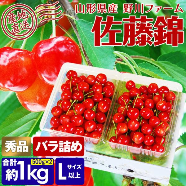6月のわずか2・3週間しか収穫できない初夏の旬の特別な味です。赤い果実は甘さが濃く、大粒になるほど、果肉が厚く果汁たっぷりです。プリプリのさくらんぼが口の中ではじける食感は格別で、甘さの中に程よい酸味が加わったジューシーさはさくらんぼの最高...