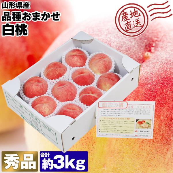 ＜商品説明＞全国5位の生産量を誇る、桃の産地・山形県。山形の桃の美味しさの秘密は、昼夜の寒暖差にあります。果物は昼間、太陽の光を浴びて糖のもととなる栄養分を生み出しますが夜のうちに呼吸をすることでその栄養分を消費してしまいます。夜間、気温が...