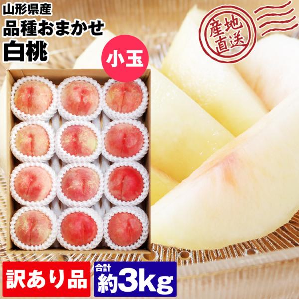 ＜商品説明＞全国5位の生産量を誇る、桃の産地・山形県。山形の桃の美味しさの秘密は、昼夜の寒暖差にあります。果物は昼間、太陽の光を浴びて糖のもととなる栄養分を生み出しますが夜のうちに呼吸をすることでその栄養分を消費してしまいます。夜間、気温が...