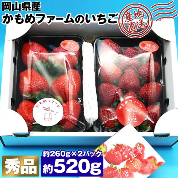 ＜商品説明＞岡山県南区に位置する、かもめファームさんよりお届けします。品種はおまかせ。晴苺、かおりの、章姫、ゆめのか、よつぼし など、その時々旬のいちごを農園スタッフが厳選しお送りします。かもめファームさんは、じゃらん・リクルート主催のいち...