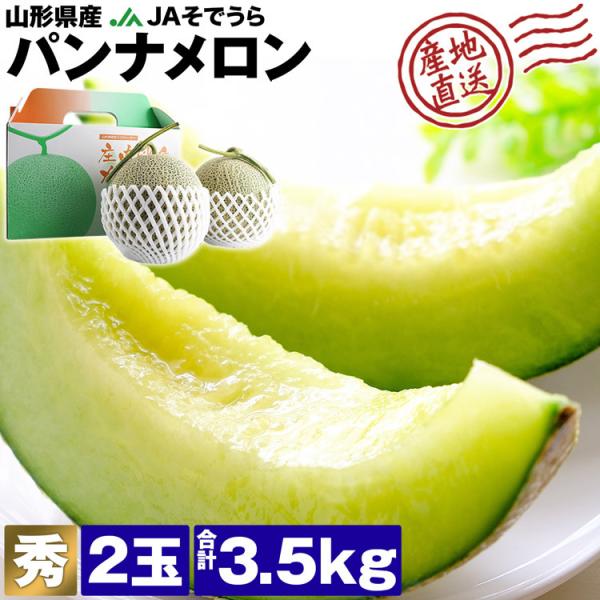 〇JAそでうらから産地直送！極上パンナメロン日本三大砂丘の一つ、山形県庄内砂丘で育ったパンナメロン。厳しい基準をクリアしたパンナメロンだけを厳選してお届けします。パンナメロンはアールスメロン系統の品種で、見た目の美しさ、優れた日持ち性から贈...