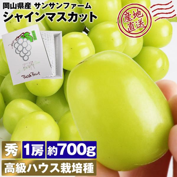 〇晴れの国おかやまから産地直送！種が無く、皮ごと食べられる気軽さから近年人気急上昇中のシャインマスカット。パリッとした果皮、果肉には弾力があり、食べ応え抜群。糖度が非常に高く、ジューシー。酸味はほとんどありません。マスカット特有の豊潤な香り...