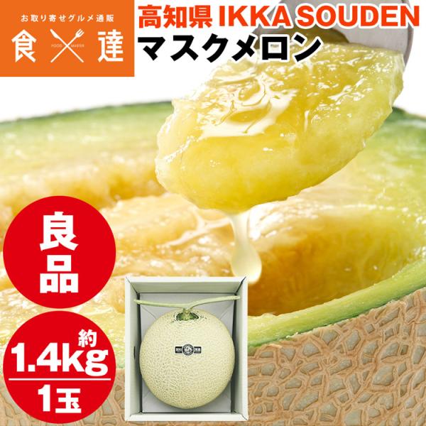 〇一果相伝！職人の繊細な技が光る、国内トップクラスのマスクメロン高知県産。篤農のメロンブランド、IKKA SOUDEN（一果相伝）の美味しいマスクメロンを産地直送でお届けします。今まで100万個以上ものマスクメロンを育て上げてきた職人の技で...