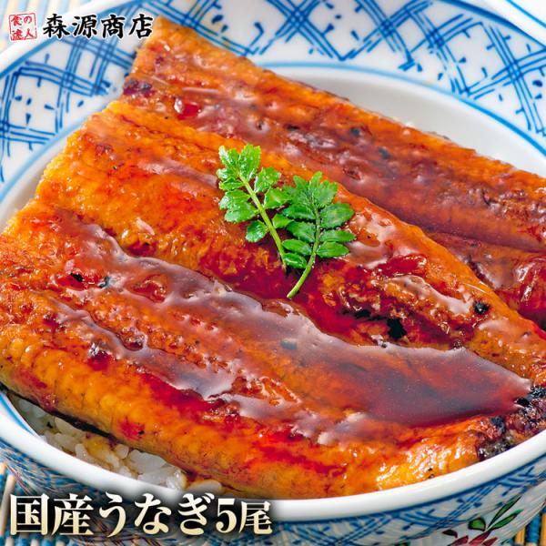 ＜商品説明＞○お店で食べるような味をご家庭で！鹿児島県産の鰻をじっくりと焼き上げ。真空パックで美味しさを閉じ込めてお届けします！1尾150g以上と大サイズを5尾セットで！ご家族でお一人でも！お得に国産鰻をお召し上がりください！お店で食べるよ...