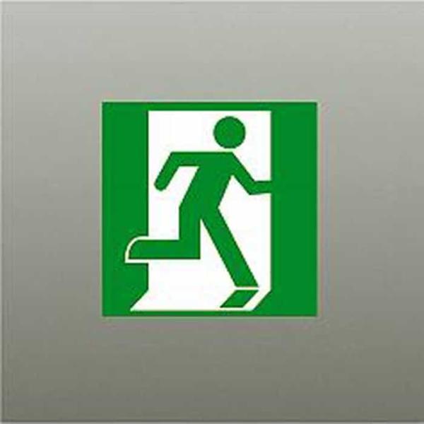 【仕様】●メーカー：大光電機/ダイコー/DAIKO●型番：DP36864E●JANコード：4955620829219●避難口誘導灯 表示パネル●C級 10形