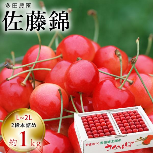 生産者 多田農園名　称 さくらんぼ品　種 佐藤錦産　地 国産（山形県山辺町）規　格 約1kg（約500g×2）・L〜２L玉(2段本詰)賞味期限 生ものですので商品到着後お早めにお召し上がりください。お届け方法 この商品は「クール便」でのお届...