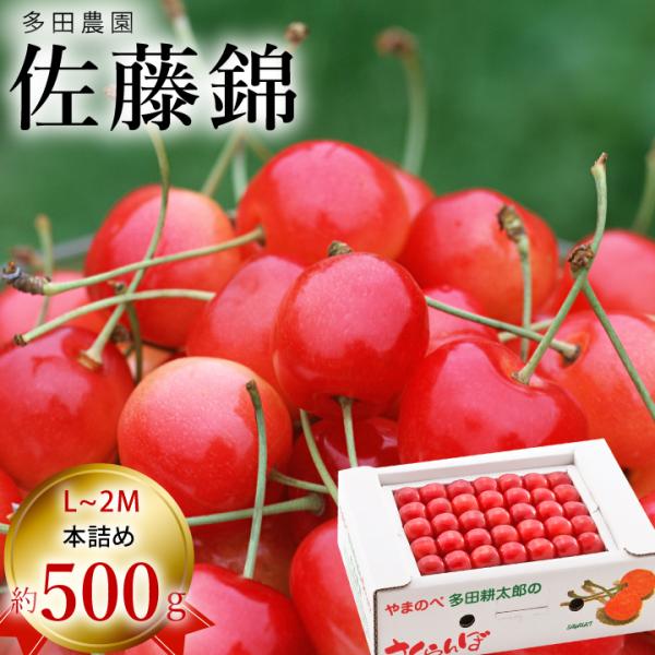 生産者 多田農園名　称 さくらんぼ品　種 佐藤錦産　地 国産（山形県山辺町）規　格 約500g（約500g×1）・L〜２L玉(2段本詰)賞味期限 生ものですので商品到着後お早めにお召し上がりください。お届け方法 この商品は「クール便」でのお...