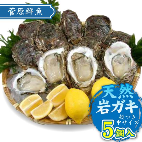 《庄内産　天然岩牡蠣》つるっとした食感、クリーミーで濃厚な味わい、磯の香りが口いっぱいに広がる夏が旬の岩牡蠣！"海のミルク"ともいわれ、栄養価も高い岩牡蠣は、夏場の疲労回復◎元気になれる美味しさです。《発送について》・本商品は予約販売商品で...
