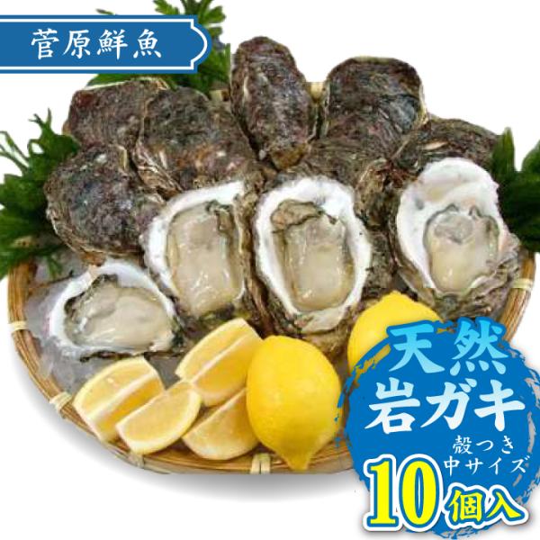 《庄内産　天然岩牡蠣》つるっとした食感、クリーミーで濃厚な味わい、磯の香りが口いっぱいに広がる夏が旬の岩牡蠣！"海のミルク"ともいわれ、栄養価も高い岩牡蠣は、夏場の疲労回復◎元気になれる美味しさです。《発送について》・本商品は予約販売商品で...