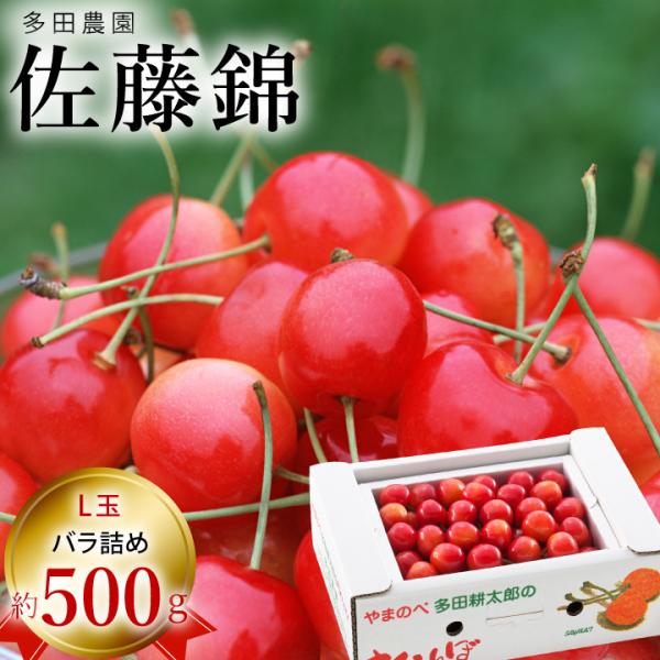 商品説明生産者 多田農園名　称 さくらんぼ品　種 佐藤錦産　地 国産（山形県山辺町）規　格500g（約500g×1）・L玉(バラ詰)賞味期限 生ものですので商品到着後お早めにお召し上がりください。お届け方法 この商品は「クール便」でのお届け...