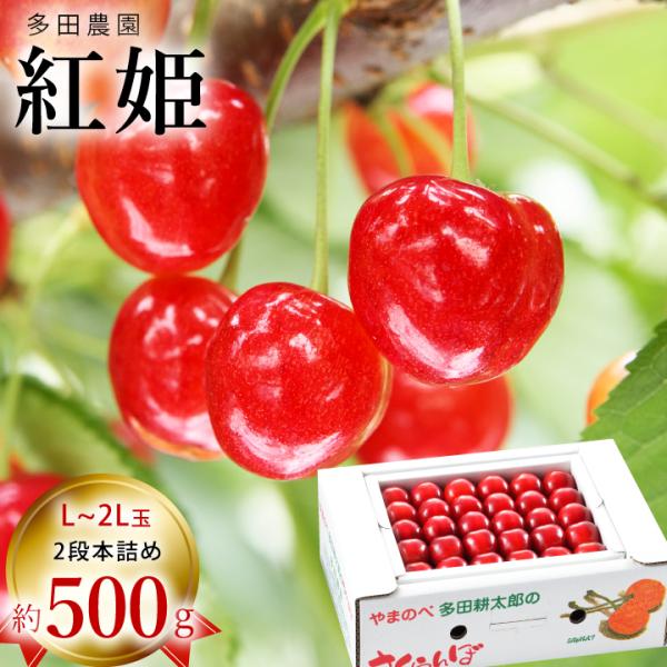 生産者 多田農園名　称 さくらんぼ品　種 紅姫産　地 国産（山形県山辺町）規　格 約500g（約500g×1）・L〜２L玉(2段本詰)賞味期限 生ものですので商品到着後お早めにお召し上がりください。お届け方法 この商品は「クール便」でのお届...
