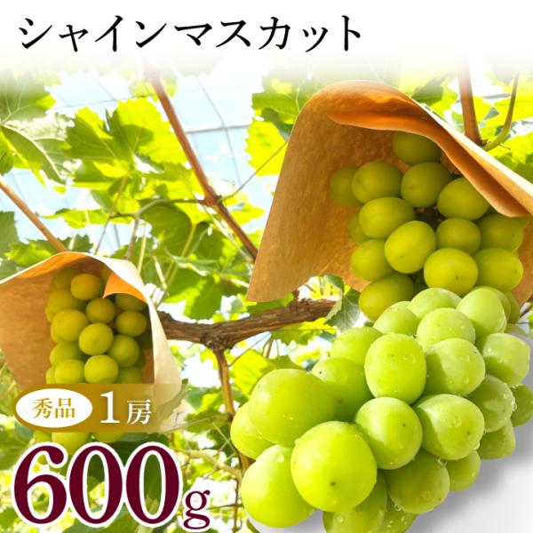 生産者 おとらふ名　称 ぶどう品　種 シャインマスカット産　地 国産規　格 秀品/1房 600g以上賞味期限 生ものですので商品到着後お早めにお召し上がりください。お届け方法 この商品は「冷蔵便」でのお届けとなります9月中旬頃から発送されま...