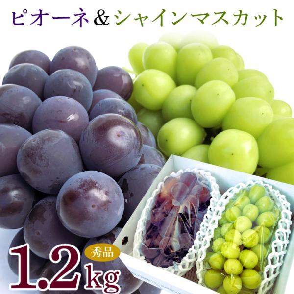 生産者 おとらふ名　称 ぶどう品　種 ピオーネ＆シャインマスカット産　地 国産規　格 秀品/ピオーネ1房＋シャインマスカット１房（合計1.2kg以上）賞味期限 生ものですので商品到着後お早めにお召し上がりください。お届け方法 この商品は「冷...