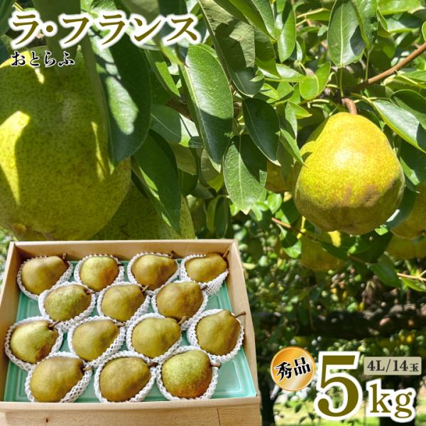 見た目のゴツゴツした外見とは裏腹に、芳醇な香りが広がる、上品な甘さの味わいで、滑らかな舌触りのとろける食感が特徴です。■ラ・フランスの食べ頃「肩」と呼ばれる軸の周りの部分を指で軽く押してみて、耳たぶくらいの柔らかさになったら食べ頃です。表面...