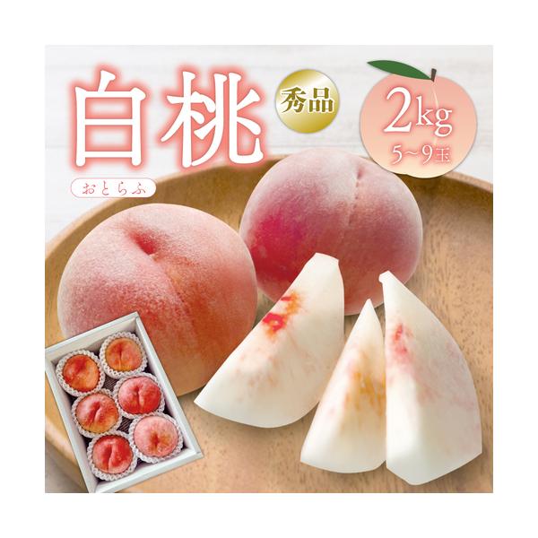 ◎商品詳細・生産者 おとらふ・名　称 もも・品　種 白桃・産　地 国産・規　格 秀品/2kg 5〜9玉・賞味期限 生ものですので商品到着後お早めにお召し上がりください。・お届け方法 この商品は「冷蔵便」でのお届けとなります。※8月上旬〜9月...