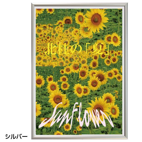 ■種別／B2/ブラック　■外寸／519×732mm　■有効画面サイズ／503×716mm　■フレームサイズ／幅8mm、厚み20mm　■重量／0.93kg　■素材／フレーム：アルミ、背板：ダンボール材、透明板：PET材t0.6mm　■付属品／...