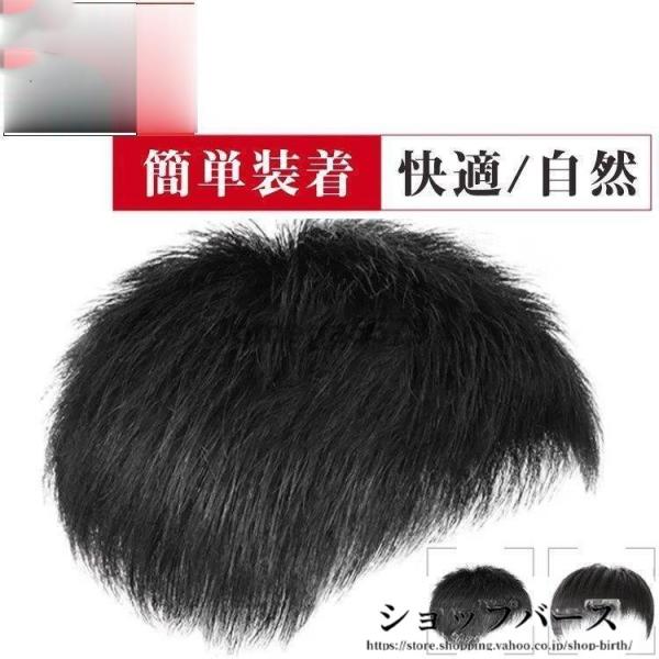 【品名】：メンズウィッグ【タイプ】：全2タイプ【ネットサイズ】：S (14×14CM)            M (16×18CM)            L (18×20CM)【素材】：人毛100％【産地】：中国検索ワード：ウィッグ ロン...