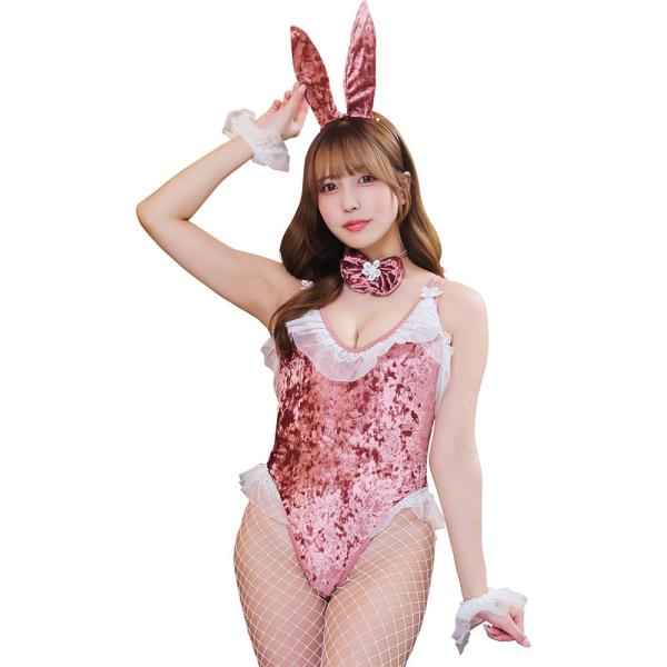 ランジェリーコスチューム「シークレットローズ」えちかわディテールを詰め込んだ、デザイン性の高いランジェリーランジェリーコスチューム「シークレットローズ」。セクシーなメイドエプロンタイプのコスチューム。リボン付きのメイドカチューシャがポイント...