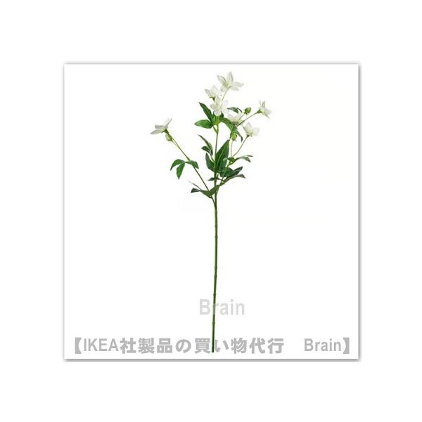 ■商品の大きさ高さ: 60 cm■主な特徴- まるで本物のような美しさが続きます- 茎はスチールワイヤー製なので、お好きな形に曲げられます- 茎はペンチでカットできます■パッケージの大きさと重さ商品番号: 506.060.87長さ: 60 ...
