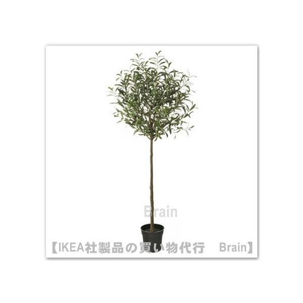■人工観葉植物（フェイクグリーン）です。■商品の大きさ植木鉢の直径: 19 cm植物の高さ: 150 cm■商品の特徴- まるで本物のような美しさが続きます- 本物の観葉植物は置けないけれど、お部屋にグリーンを取り入れたい人にぴったり■パッ...
