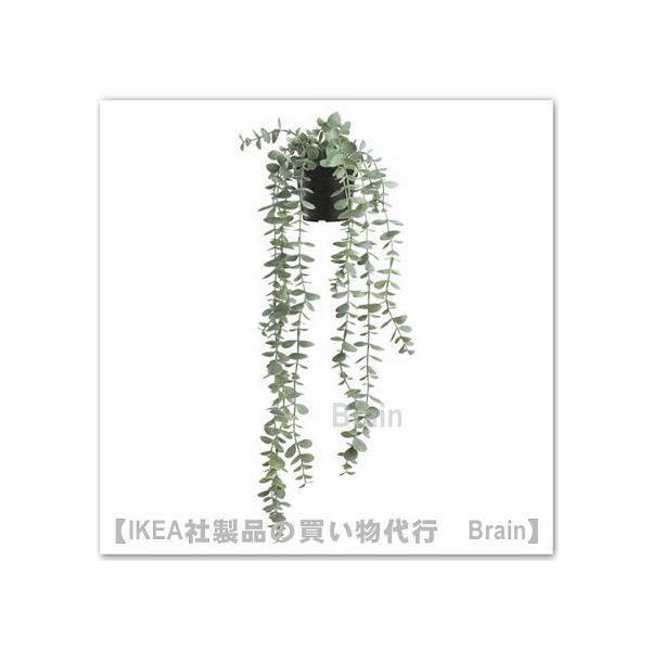 ■人工観葉植物（フェイクグリーン）です。■商品の大きさ植木鉢の直径: 9 cm植物の高さ: 58 cm■商品の特徴- まるで本物のような美しさが続きます- 本物の観葉植物は置けないけれど、お部屋にグリーンを取り入れたい人にぴったり■パッケー...