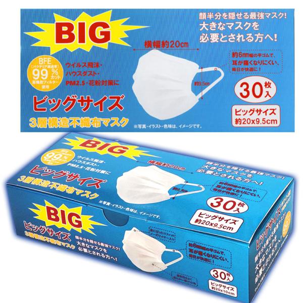 ・6mm幅の平ゴムで耳が痛くなりにくい・鼻にぴったりフィットするノーズワイヤー入り・ウイルス飛沫、ハウスダスト、PM2.5、花粉を99%カットする高密度フィルター採用・安心のシュリンクパック清潔包装　枚数：30枚※サイズ：約20cm×9.5...