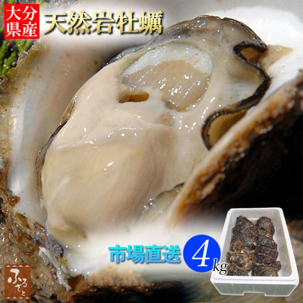 ＜色々な場面にご利用いただけます＞■贈り物お正月 御年賀 お年賀 母の日 父の日 初盆 お盆 御中元 お中元 残暑御見舞 残暑見舞い 敬老の日クリスマス お歳暮 御歳暮 御見舞 退院祝い 快気祝い 快気内祝い■祝事合格祝い 卒業祝い 進学内...