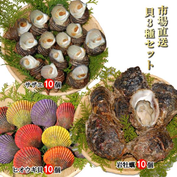 ＜色々な場面にご利用いただけます＞■贈り物お正月 御年賀 お年賀 母の日 父の日 初盆 お盆 御中元 お中元 残暑御見舞 残暑見舞い 敬老の日クリスマス お歳暮 御歳暮 御見舞 退院祝い 快気祝い 快気内祝い■祝事合格祝い 卒業祝い 進学内...