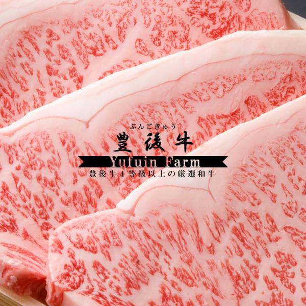 【発売日：2022年05月20日】＜色々な場面にご利用いただけます＞■贈り物お正月 御年賀 お年賀 母の日 父の日 初盆 お盆 御中元 お中元 残暑御見舞 残暑見舞い 敬老の日クリスマス お歳暮 御歳暮 御見舞 退院祝い 快気祝い 快気内祝...