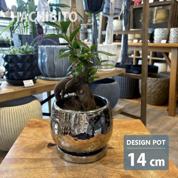 品質の良い陶器鉢。ギラギラとしたシルバーが特徴的な植木鉢。植木鉢ではなかなか見かけない色でこだわり派の方にはもってこいのアイテムです。■ 商品仕様品番：GP123-145サイズ：4.5号 / 14.5cm鉢底穴：有り受け皿：有り材質：陶器重...