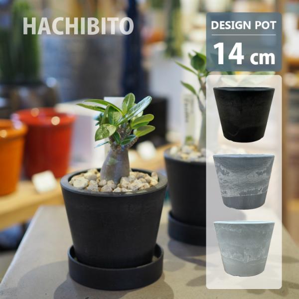 多肉植物やサボテンのコレクター、レアな植物の植物生産者など、愛好家御用達のプラスチック鉢。丈夫で軽い、地温も上がりやすいと、特に寒さに敏感なグリーンたちの生育にも向いています。厚手でカッチリと仕上がっているため「よくあるプラ鉢」のような安っ...