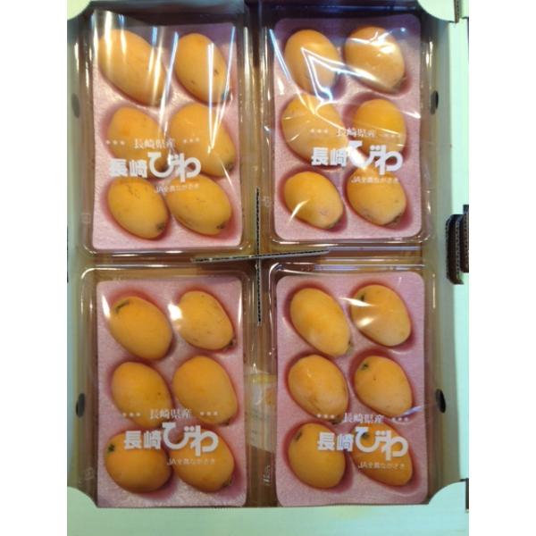 成熟期が早くて、みずみずしく食味のよい品種です。「長崎びわ」は長崎県で栽培されている品種である「茂木種」「長崎早生」「福原早生(商品名:長崎甘香)」「涼風」「なつたより」の総称で、古くは江戸時代から栽培されてきた長崎県の特産品です。 「長崎...