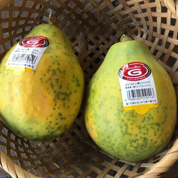 完熟マンゴーなど南国果実でお馴染みの宮崎県が 国産品質で栽培した完熟仕様のパパイヤ。『天使のフルーツ』と呼ばれる栄養満点の南国果実パパイヤ。 熟すと果肉はオレンジ色で、さっぱりとした口当たり香りは弱めです。フィリピン等の輸入品の多くは「ソロ...