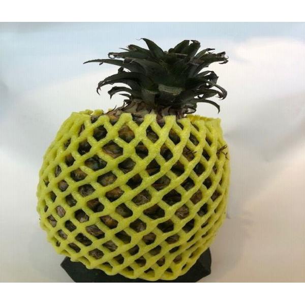 芯まで食べられて、非常に甘いパイナップルです。カットパインや芯抜きパックの定着などで好調。夏祭りの屋台などでも人気がありましたが、近年は、フィリピン産に押されましたが、また、その需要が見直されてます。