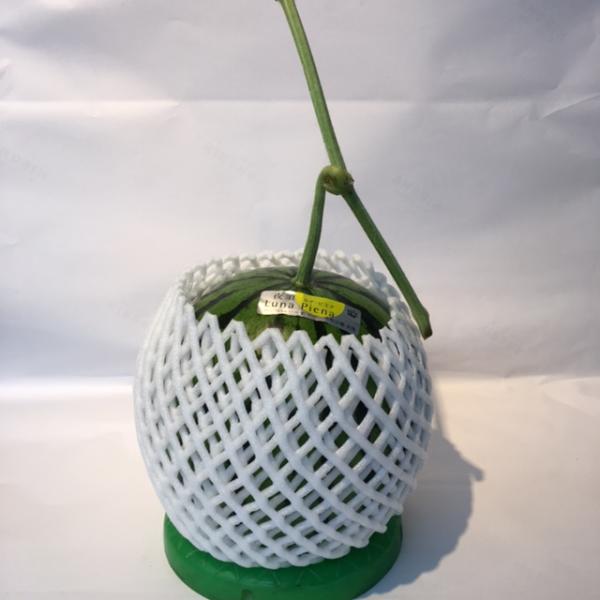 おすすめ 真冬に味わえる真夏の果実スイカ 温室で栽培されたすいかの逸品ルナ・ピエナ 。 高知県・夜須すいか ルナ・ピエナ夜須西瓜はいつも糖度が13度以上あり、最高で15度の西瓜におめにかかることもあります。