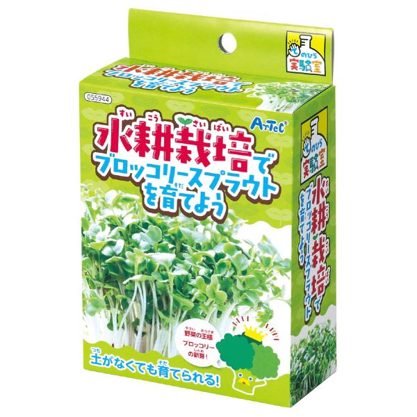 ＳＤＧｓの一環　★フードロス★について考えるきっかけにダイエットによいと言われる話題のブロッコリースプラウト【自分で作って自分で食べる】家庭菜園や自給自足は、ＳＤＧｓの入り口であると考えます★土いじりが苦手な子供も簡単に栽培できます★実験感...