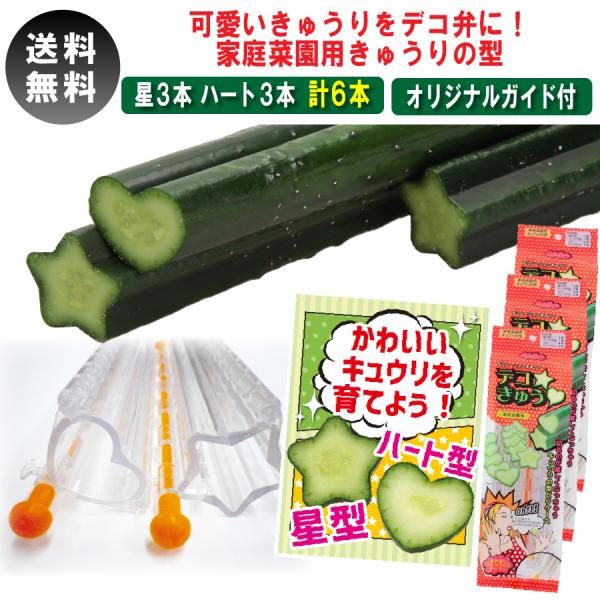 【デコきゅうとは？】デコきゅうはきゅうりを切るのがたのしくなっちゃう、家庭菜園用のきゅうりの型どりケースです。使い方は簡単。きゅうりの実が小さいうちに型をかぶせるだけ。ハート型と星型の2つのケースが入っています。デコきゅうをかぶせたきゅうり...