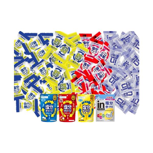 こちらのカタログは【4種アソート約100粒／塩分チャージタブレッツ 3種＆森永 inタブレット塩分プラス 1種】となります。4種類の塩分タブレットを詰め合わせました。欲張り100粒セットです。【オリジナル賞味期限・開封日管理シール付き】内容...