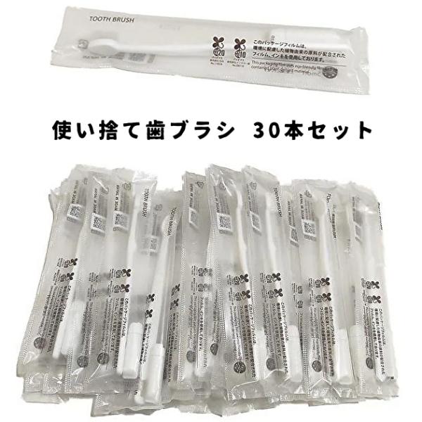 ◆セット内容：歯ブラシ、歯磨き粉（３ｇチューブ）◆セット毎に個包装◆日本製ホテル・旅館などで客室用アメニティとして使われている業務用の使い捨て歯ブラシ（歯磨き粉付き）です。全品国内工場検査合格済で安心してお使い頂ける日本製です。歯みがき粉は...