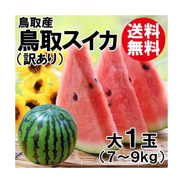 鳥取県北栄町(旧大栄町)が誇る甘くて美味しいスイカです。ご家庭向きの優品(変形・傷・空洞果)になります。【商品は6月中旬以降、入荷次第の発送となります】【現在配達日の指定はできませんのでご了承下さいませ】【クール便でのお届けも対応いたします...