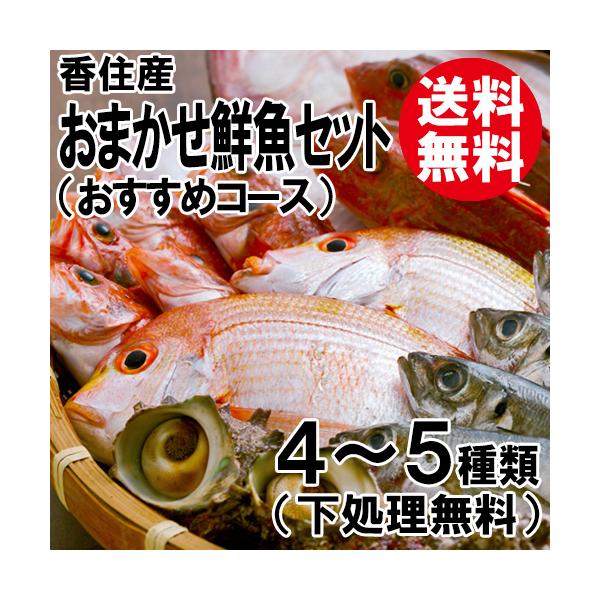 朝水揚げされた新鮮な魚介類をお届けします♪鮮度抜群なのでお刺身でもお楽しみ頂けます。◎この商品のお届け日は指定できません。 ◎土曜日は競りがありませんので、日曜日着ご希望の場合は金曜日に水揚げされた魚を利用します。◎水揚げがあり次第発送させ...