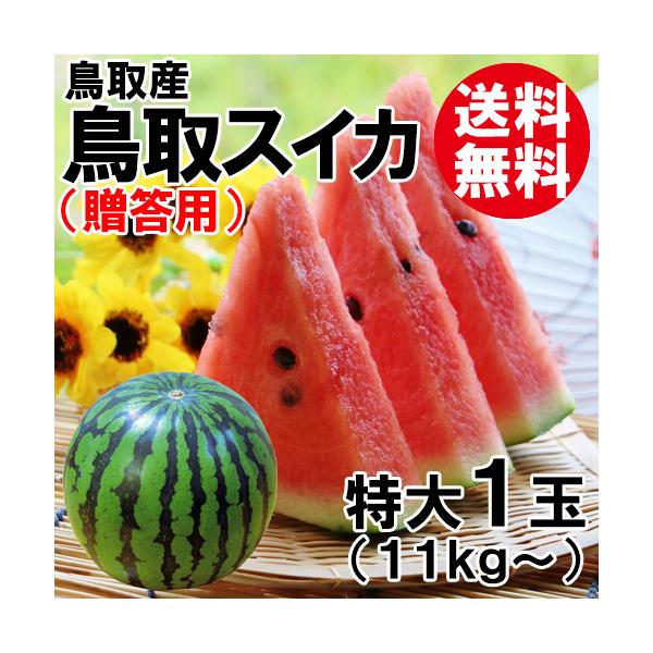 鳥取県北栄町(旧大栄町)が誇る甘くて美味しいスイカです。ご贈答向きの秀品になります。【商品は6月中旬以降、入荷次第の発送となります】【現在配達日の指定はできませんのでご了承下さいませ】【クール便でのお届けも対応いたします(有料)】■商品内容...