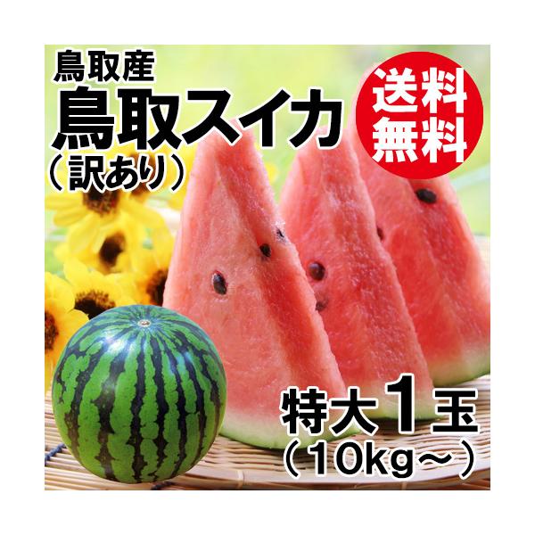 鳥取県北栄町(旧大栄町)が誇る甘くて美味しいスイカです。ご家庭向きの優品(変形・傷・空洞果)になります。【商品は6月中旬以降、入荷次第の発送となります】【現在配達日の指定はできませんのでご了承下さいませ】【クール便でのお届けも対応いたします...