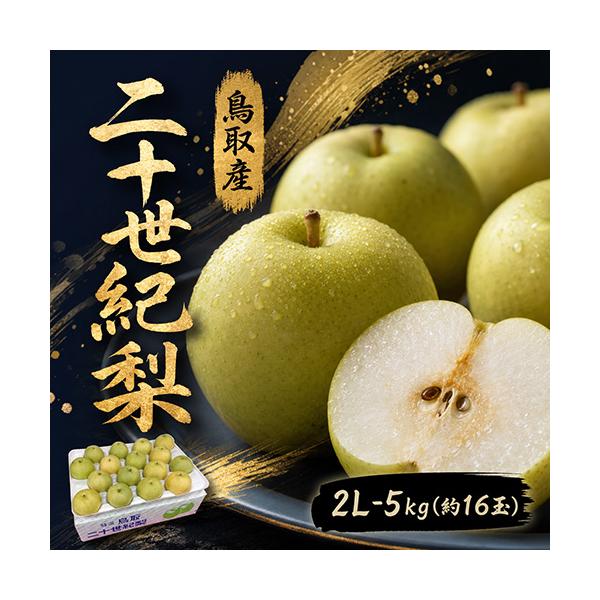 【発売日：2026年08月29日】鳥取名産の二十世紀梨です。甘くてジューシーな梨をご賞味ください。ご贈答用の秀品になります。【商品は8月下旬以降、入荷次第の発送となります】【現在配達日の指定はできませんのでご了承下さいませ】【クール便でのお...