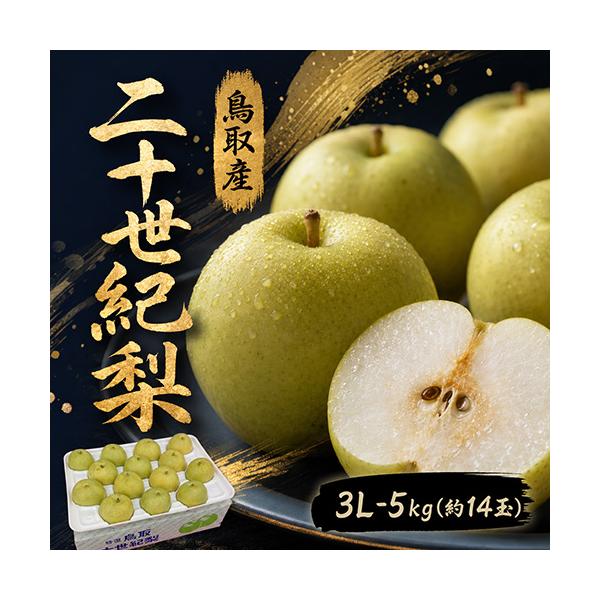【発売日：2026年08月29日】鳥取名産の二十世紀梨です。甘くてジューシーな梨をご賞味ください。ご贈答用の秀品になります。【商品は8月下旬以降、入荷次第の発送となります】【現在配達日の指定はできませんのでご了承下さいませ】【クール便でのお...