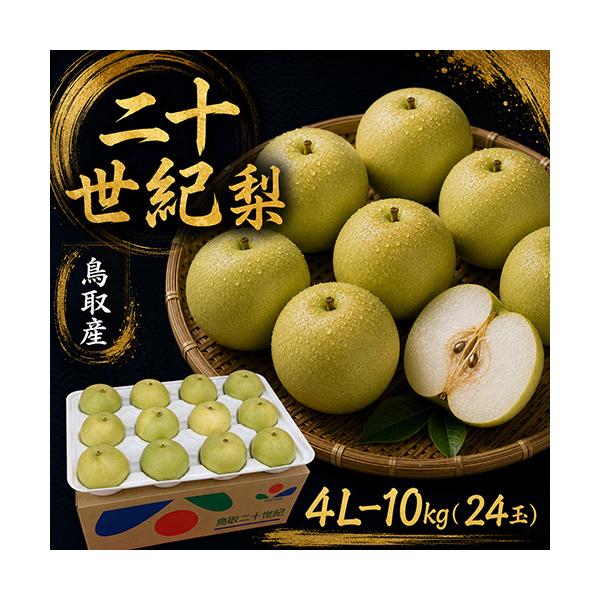 【発売日：2026年08月29日】鳥取名産の二十世紀梨です。甘くてジューシーな梨をご賞味ください。ご贈答用の秀品になります。【商品は8月下旬以降、入荷次第の発送となります】【現在配達日の指定はできませんのでご了承下さいませ】【クール便でのお...