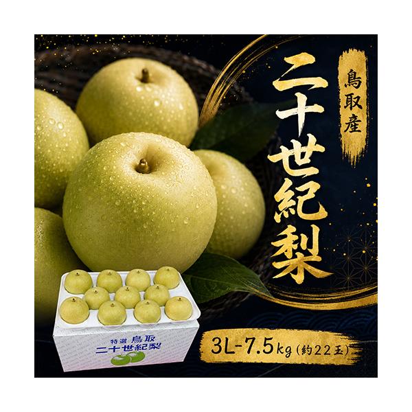 【発売日：2026年08月29日】鳥取名産の二十世紀梨です。甘くてジューシーな梨をご賞味ください。ご贈答用の秀品になります。【商品は8月下旬以降、入荷次第の発送となります】【現在配達日の指定はできませんのでご了承下さいませ】【クール便でのお...